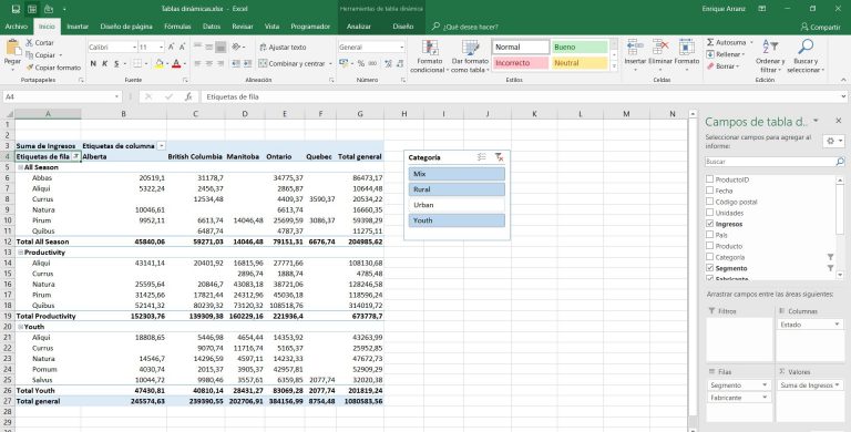 Análisis de datos con Excel - Excel y VBA